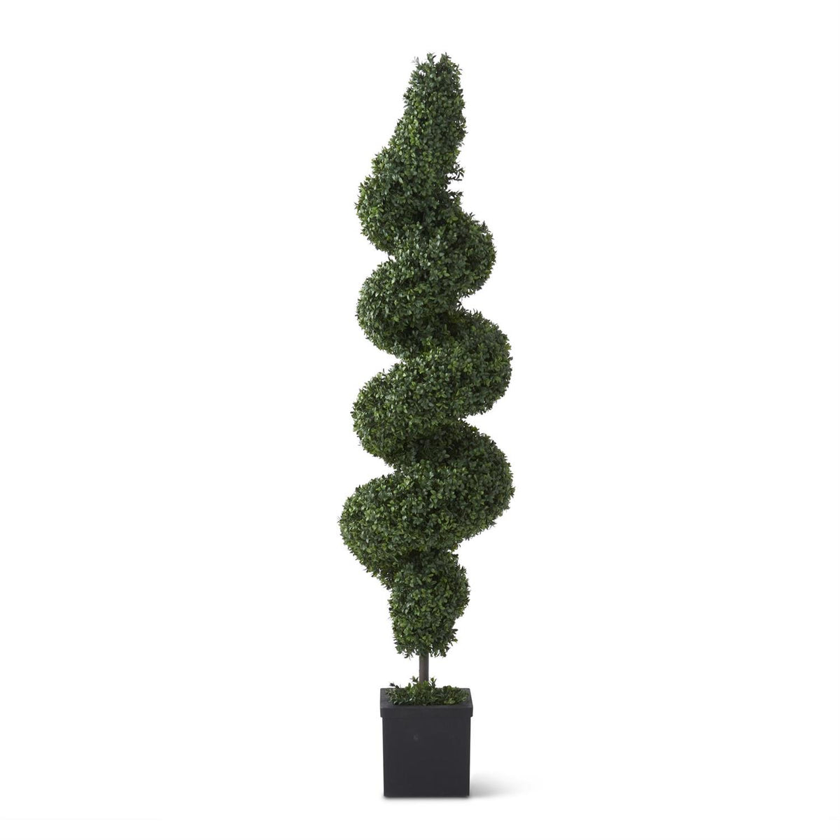 6 Foot Spiral Boxwood Topiary Tree – thanq.gifts